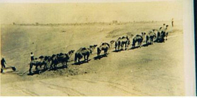 Photograph - Nugent Brothers, Tank cleaning, Bulloo Downs.; Guinness, A ...
