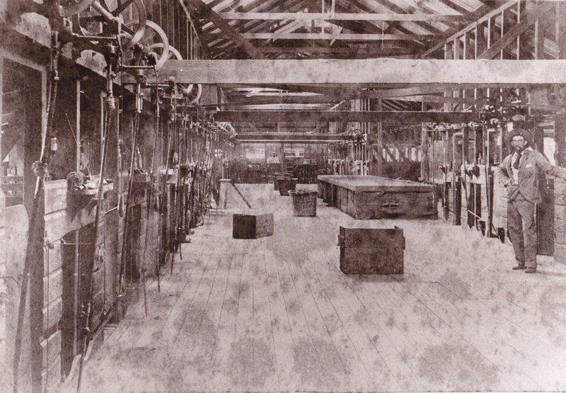 Photograph - Wool Shed with Power Driven Shearing Stands; c1910s; 17068 ...