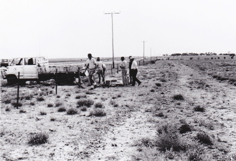 Photograph of early work, Stockman's Hall of Fame .; Mid-1980s; 15528 ...