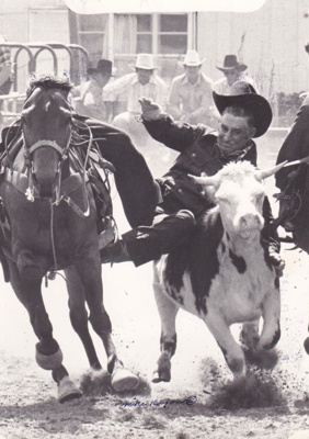 Photograph - Jim Maguire Bulldogging; 1977; 15990 | eHive