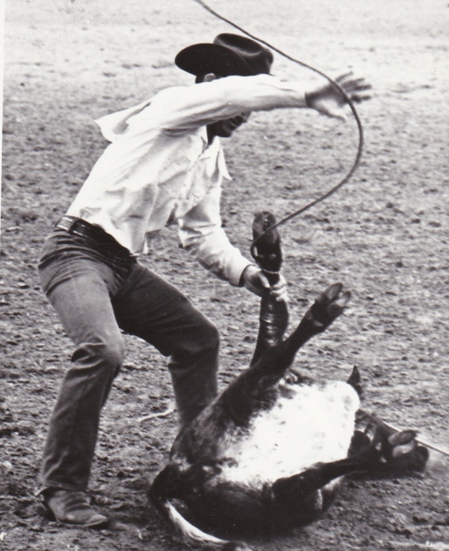 Photograph of Mr Jim McGuire roping a steer on its back at a ...
