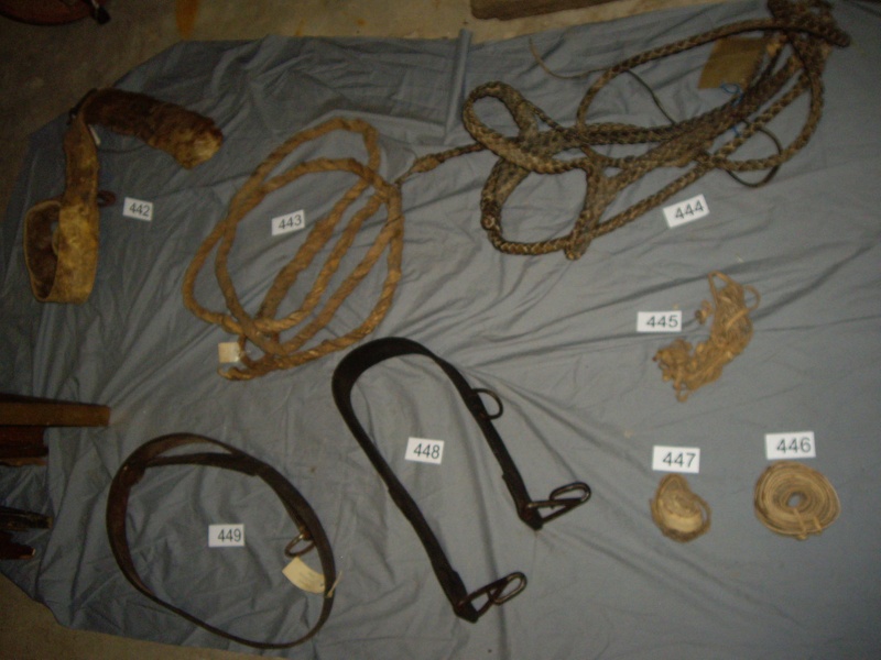 Leather rope; 445 | eHive