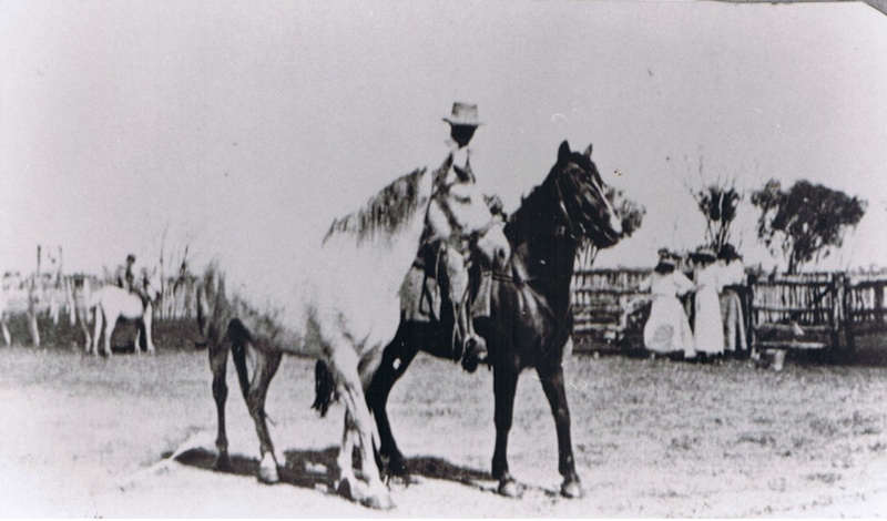A Quick Ride Through The History Of Horseback Riding