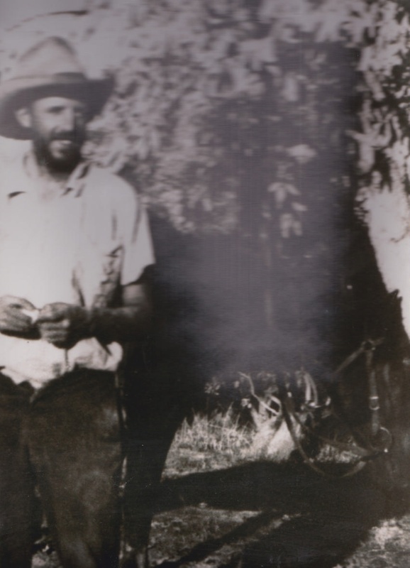 Photograph - Jimmy Wilson; 1996; 17843 | eHive