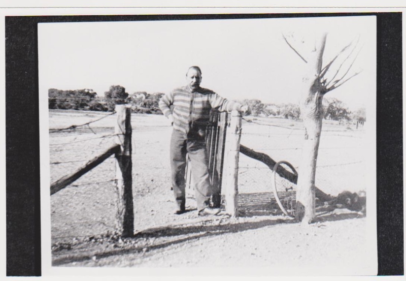 Photograph - George Bax Head Stockman "Mutooroo" South Australia; 10292 ...