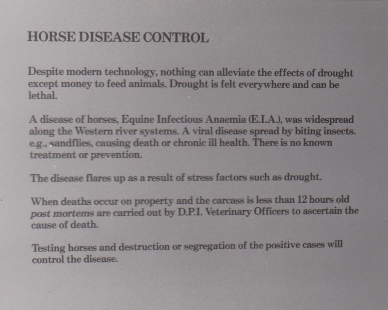 Horse Disease Control sign.; C. 1980's; 20779 | eHive