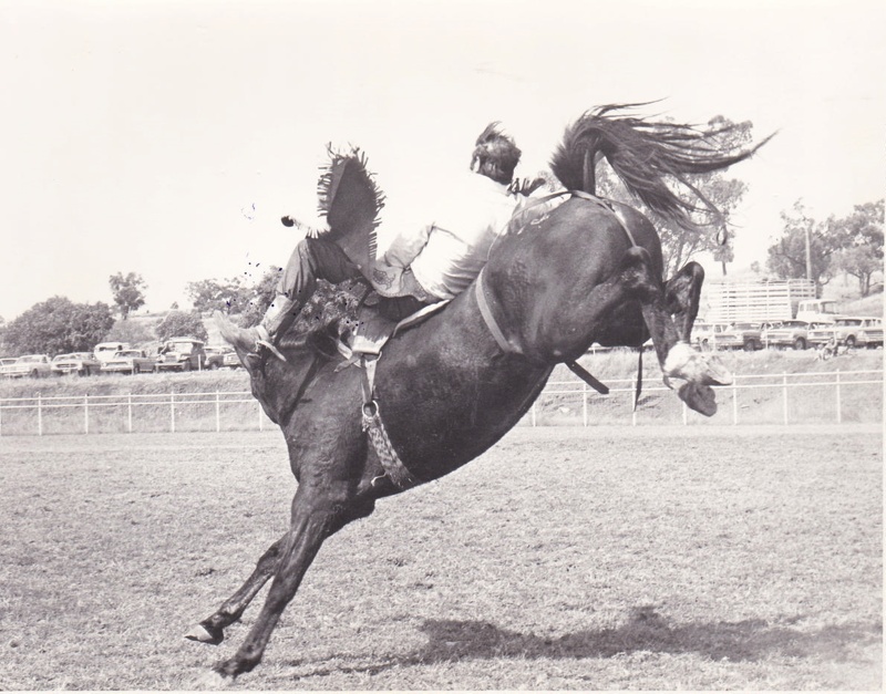 Photograph - Ross Piper - Bareback Competition; 1989; 15952 | eHive