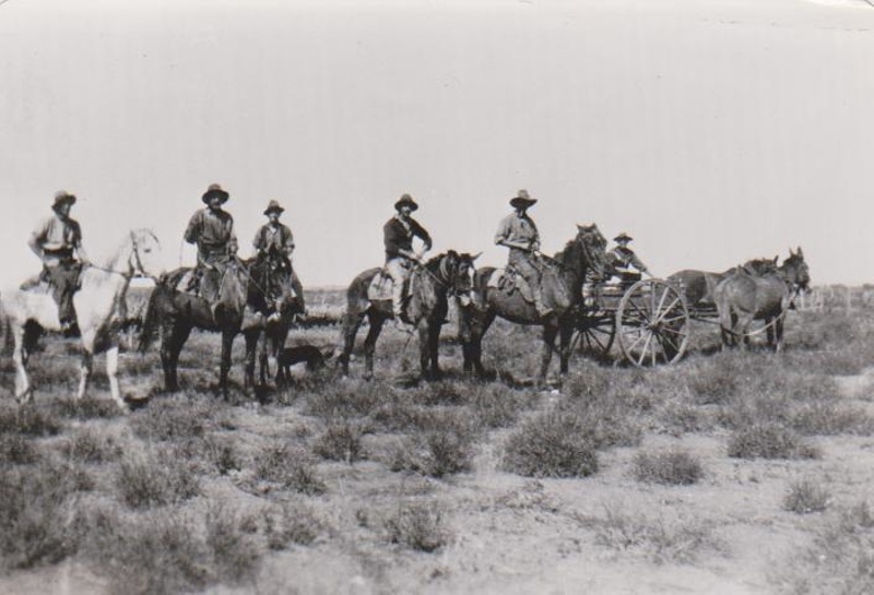 Five Stockmen on horses. One man in sulky; 10577 | eHive