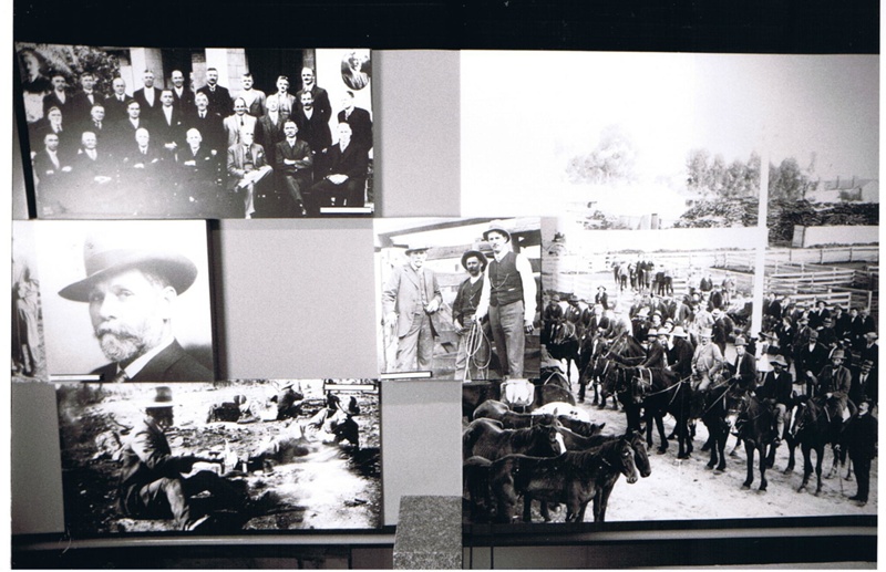 Photograph - Sidney Kidman Display Wall.; 9004 | eHive