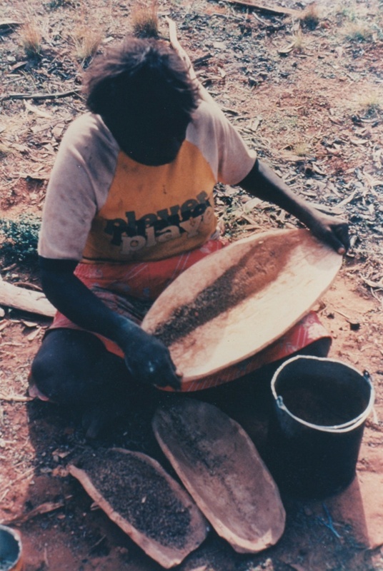 Photograph - Indigenous Woman crushing seeds in timber slab. ; 1993 ...