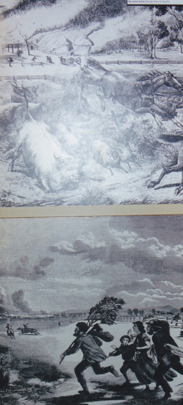 Negative. Samuel Calvert wood engraving "Bush fire in Australia'; 18316 ...