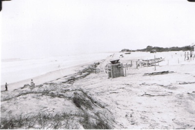 Narrow Neck; 7137 | eHive