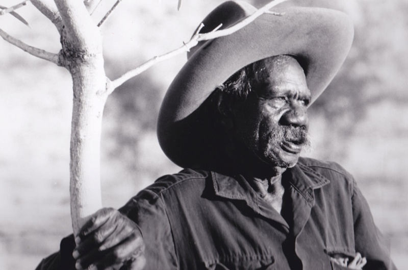 Photograph - Indigenous Stockman John Green. ; c 1990; 17884 | eHive