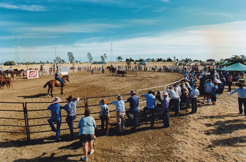 Photograph: The Stockman's Hall of Fame's Outback Muster. ; 1995; 15622 ...