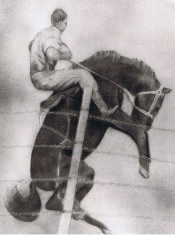 Photograph - Joseph Atkinson of Gayndah riding 'Chain Lightning'.; 1925 ...