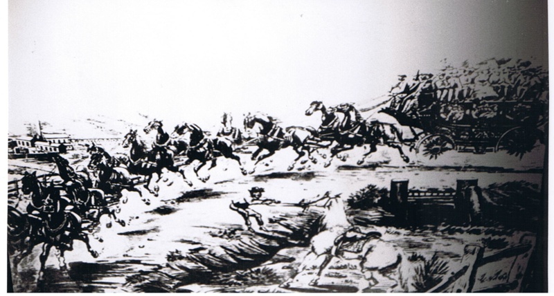 Photograph - Great Leviathan Cobb & Co Coach pulling into Ballarat ...