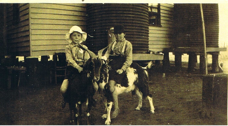 Photograph - Two boys riding goats.; 1927; 13220 | eHive