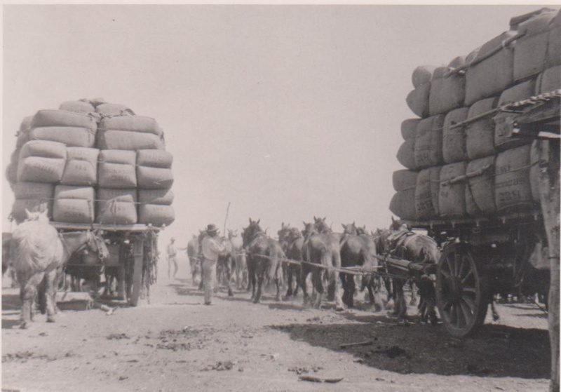 Two loaded wool wagons ready for departure; 9931 | eHive