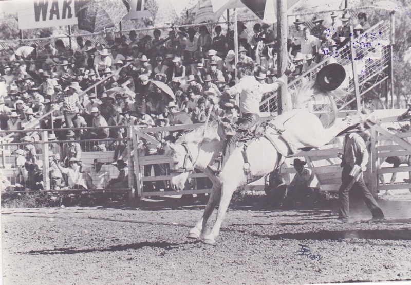 Photograph - Ray Hermann performing at the Warwick Rodeo.; c 1980 ...
