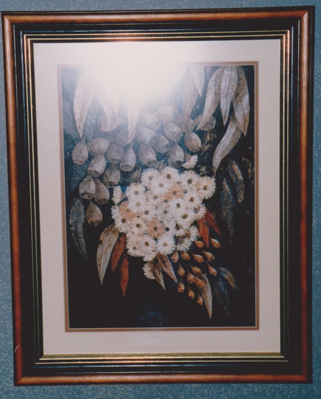 Photograph - Picture "Australian Gum Blossoms"; 1994; 19313 | eHive