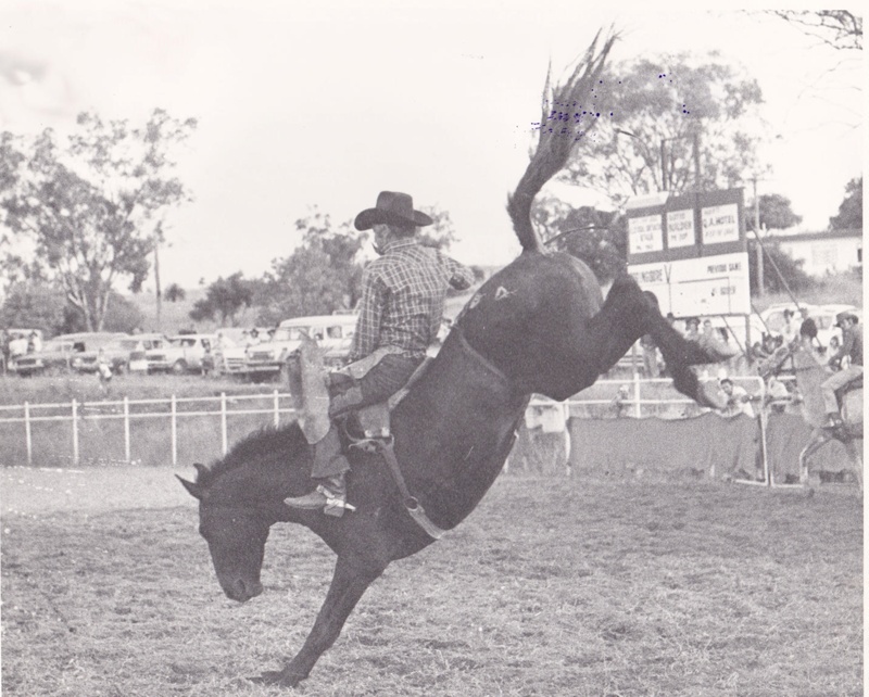 Photograph - Jim McGuire Riding Bareback Buckjumper; 1969; 15994 | eHive