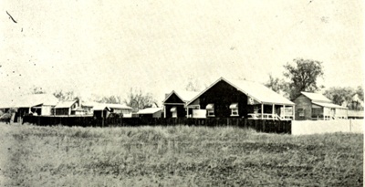 Rewan Horse Breeding Stud; 1910; PM0833 | eHive