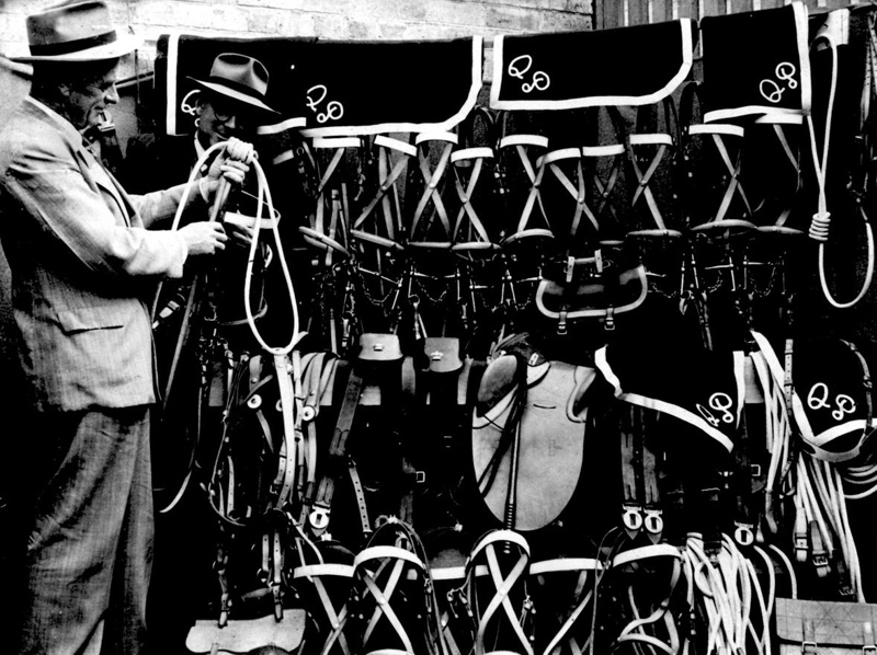 Bill O'Connor and Stewart Kerr, inspect leather work; 1954; PM2653 | eHive