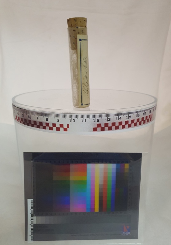 Clydesdale Cow Fibre Sample; H.B. Selby & Co. Pty. Ltd.; c.1937-1970 ...