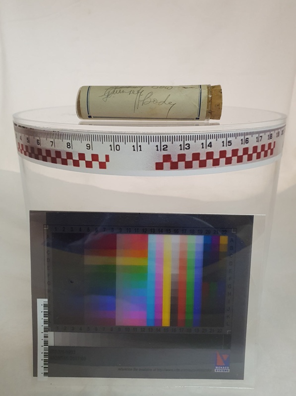 Guernsey Cow Body Fibre Sample; H.B. Selby & Co. Pty. Ltd.; c.1937-1970 ...