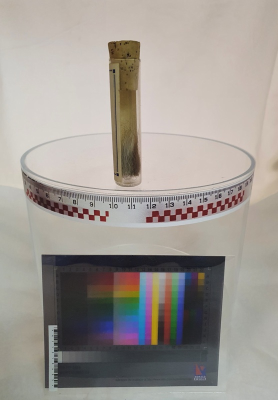 Cow Fibre Sample; H.B. Selby & Co. Pty. Ltd.; c.1937-1970; QP484-18 | eHive