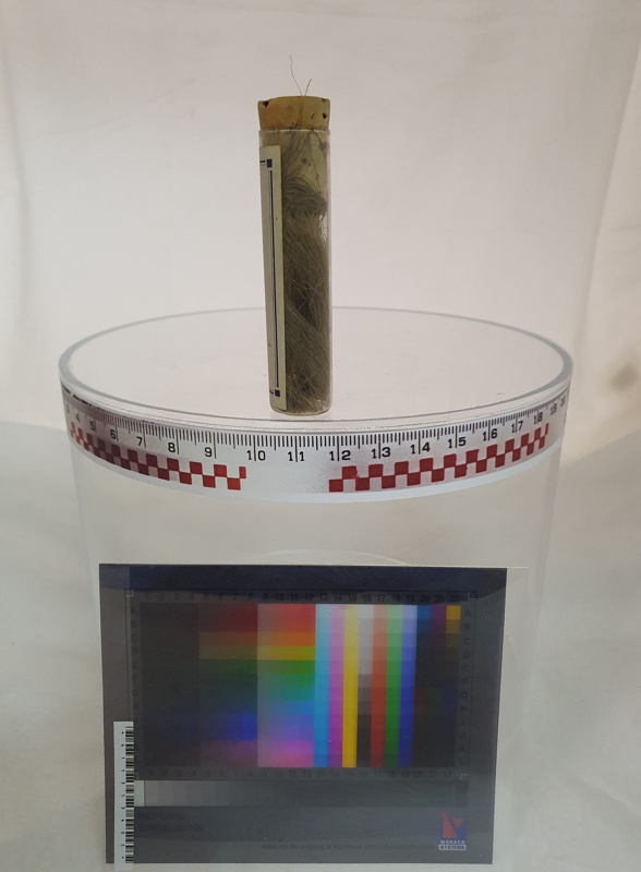 Hereford Cow Fibre Sample; H.B. Selby & Co. Pty. Ltd.; c.1937-1970 ...