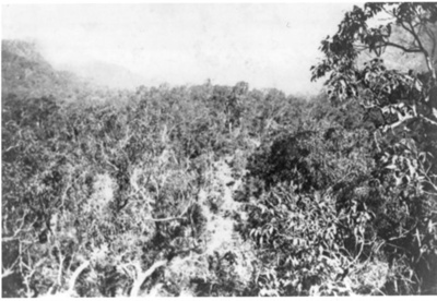 Scene of the murder of Constable George Doyle and Station Manager ...