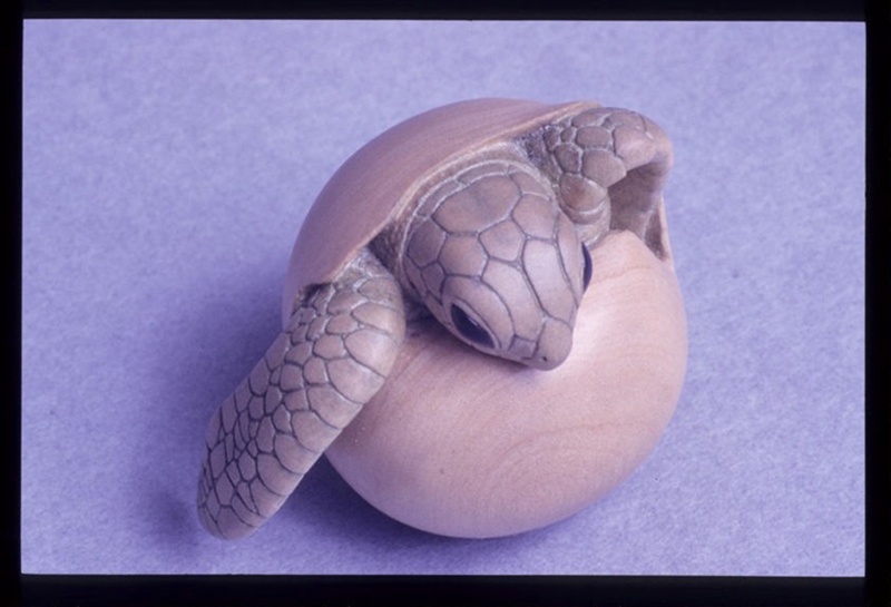 Hatching Turtle (Restricted Size Award Prize); Wraight, Susan; 1985; 1057016 | eHive