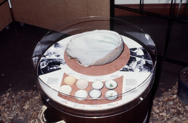 Large Raku style shell pot; Welch, Marjorie; 1111003 | eHive