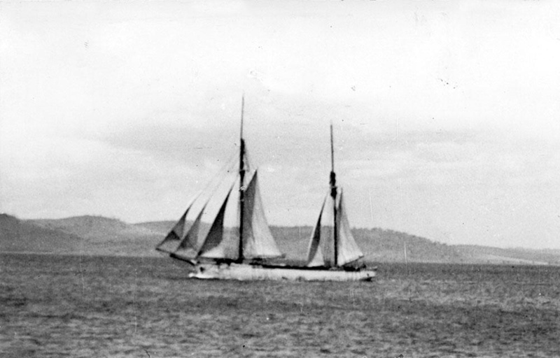 Aristides; P_OM_H_20a | eHive