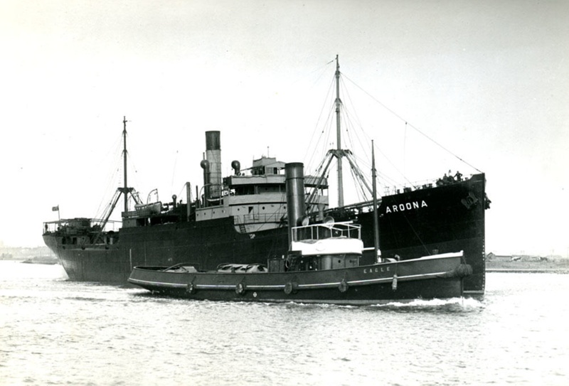 Aroona; P_Sle_19_39 | eHive