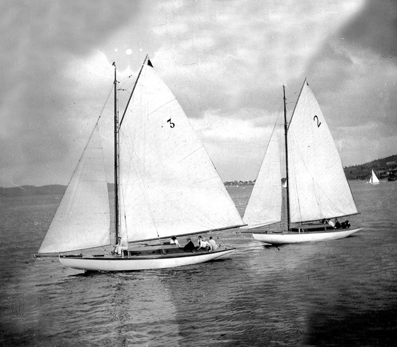 Pandora; P_Y_327 | eHive