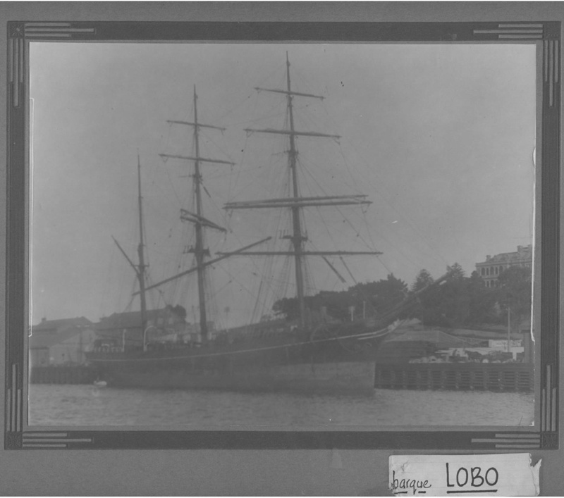 LOBO at Princes Wharf, Hobart. ; P_1991-056 | eHive