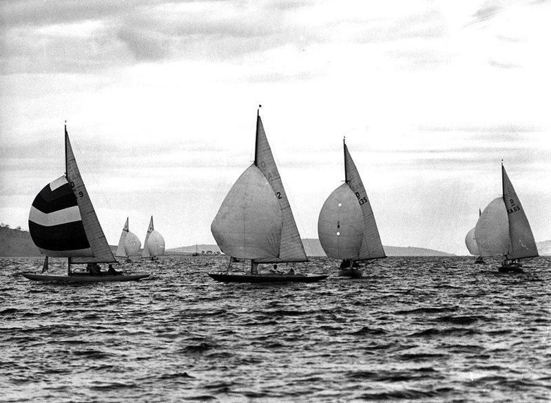 Dragon Class; P_Y_545 | eHive