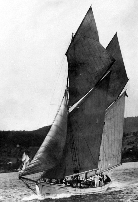 Swift; P_OM_H_18c | eHive