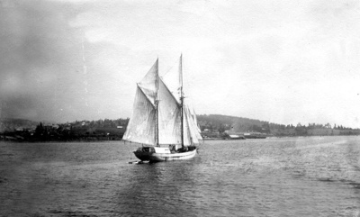 Forbes Bros; P_OM_G_7f | eHive