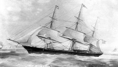 Heather Belle; P_OM_G_18d | eHive