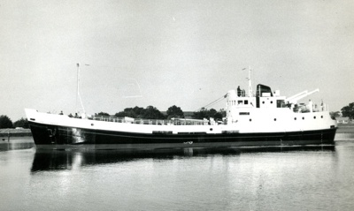 King Islander; P_Sle_15_03A | eHive