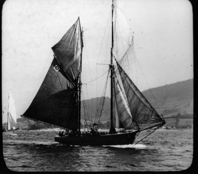 HUON CHIEF running goose winged before the wind; P_GSL201 | eHive