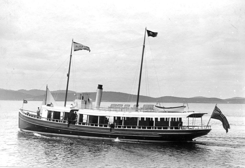 Silver Crown SS; P_OM_L_40a | eHive