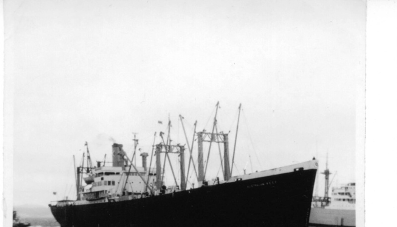 Australian Reef; P_DIG_2013-0107 | eHive