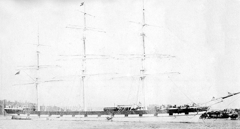 Argonaut; P_OM_B_6h | eHive