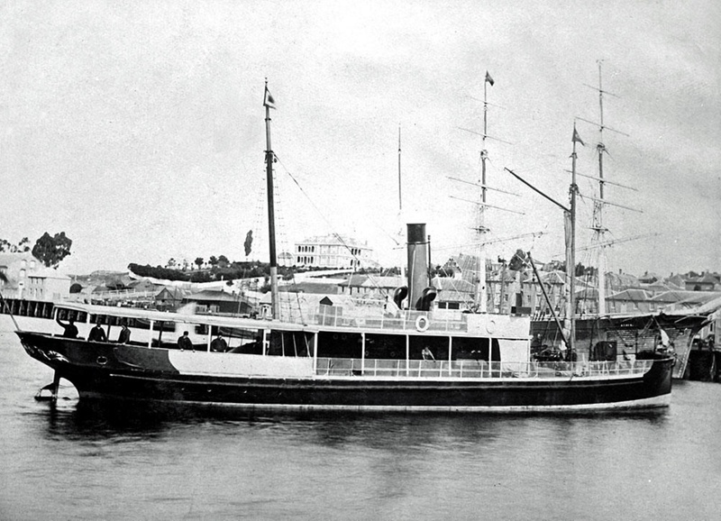 Cygnet SS; P_OM_C_13d | eHive