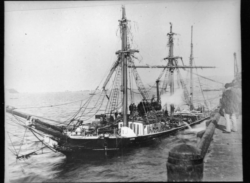 Laira - lantern slide; P_GSL231 | eHive