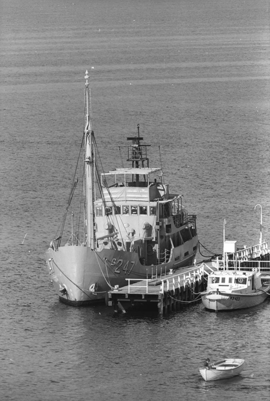 Bass HMAS; Craike, John; P_CR_55558 | eHive